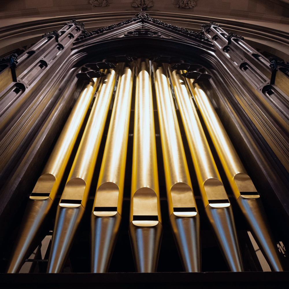 What Did Jesus Do? | Trinity Church