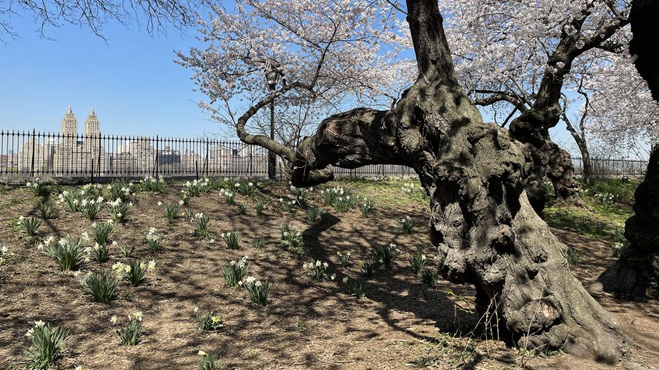 The Paradoxical Nature of Home | Trinity Church